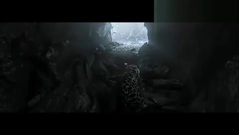 视频: 卡地亚钻戒_卡地亚情侣对戒定制