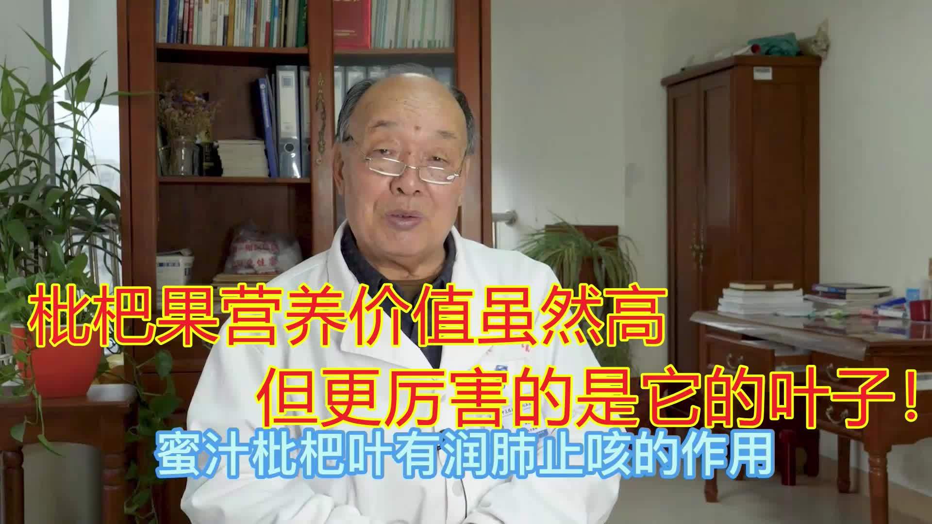 83岁老中医:枇杷果营养价值虽然高,但更厉害的是它的叶子!