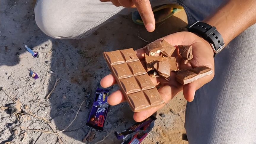 牛人用纸板给仓鼠做的大别墅,这待遇也太好了吧!