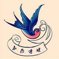 飞燕传媒玩具视频