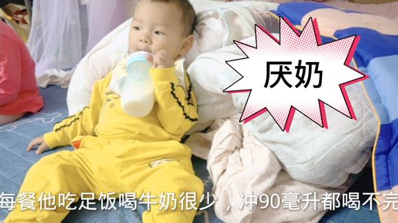 金猪不爱牛奶爱看电视,一点奶喝半天都喝不完