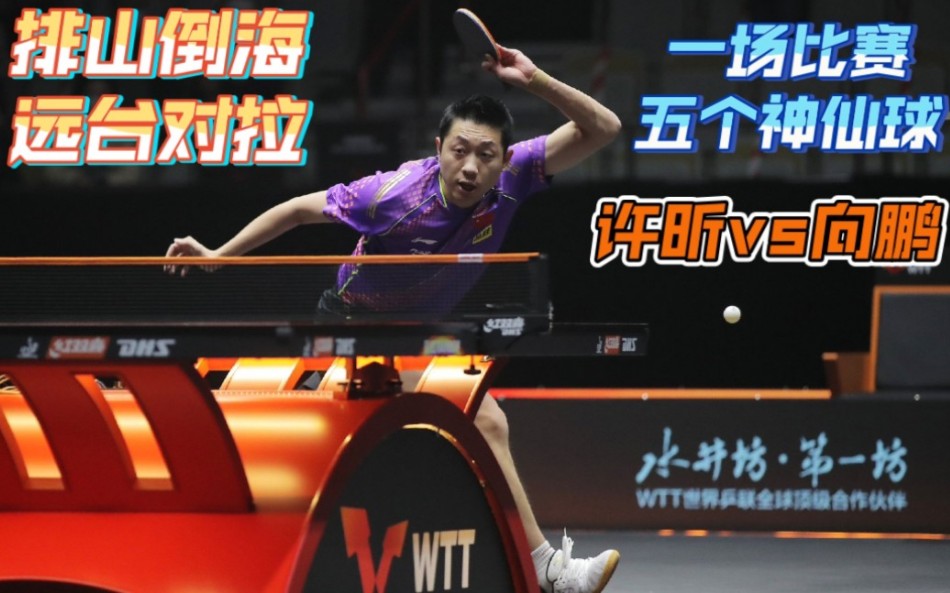 真精彩!许昕与向鹏连续上演排山倒海式对拉 观众们一阵阵欢呼!许昕vs...