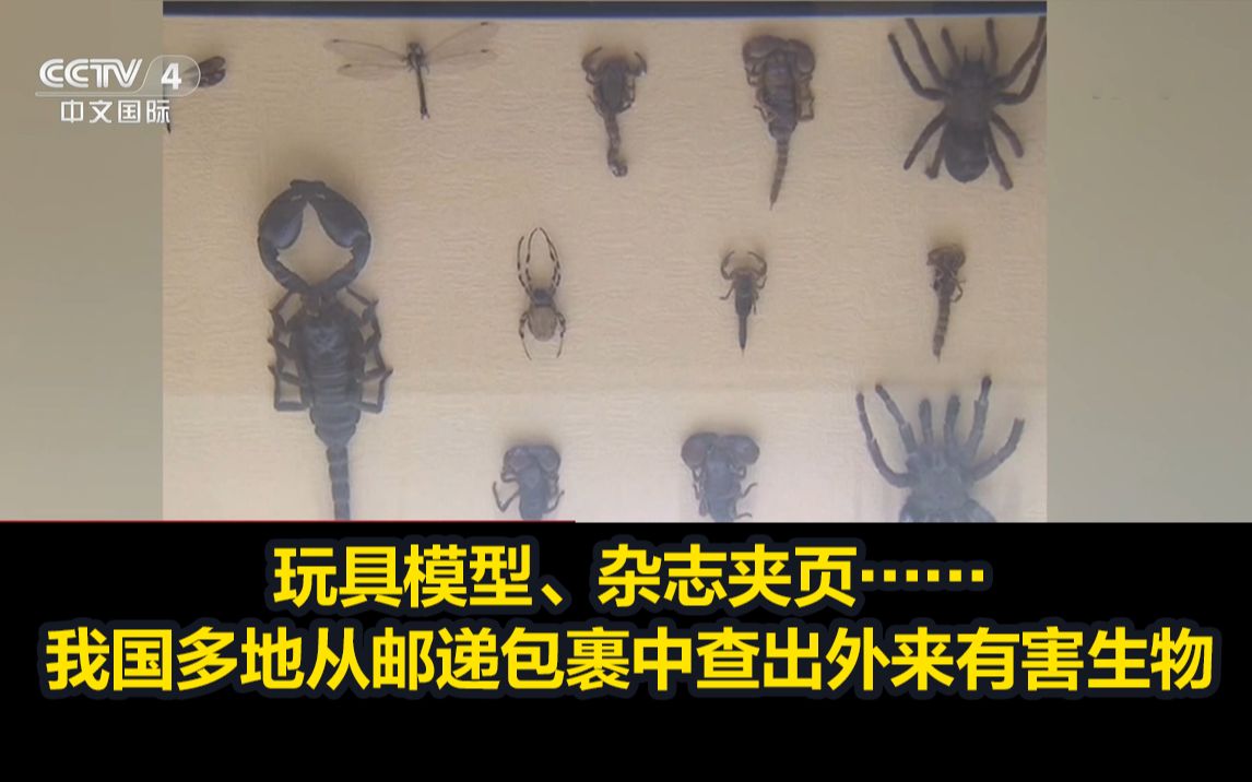 隐蔽性极强!玩具模型、杂志夹页…我国多地从邮递包裹中查出外来...