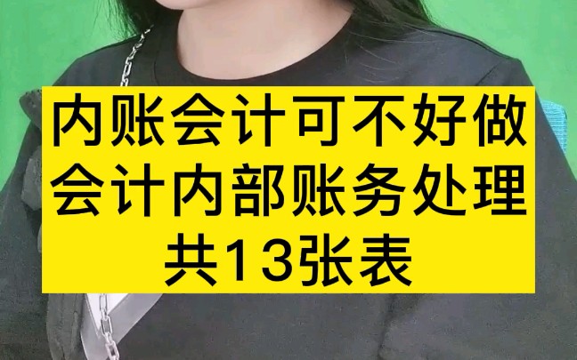 内账会计可不好做,会计内部账务处理系统,共13张表