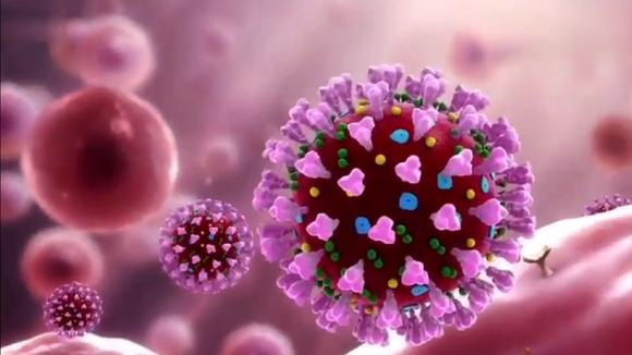 新型冠状病毒是怎么感染人体并迅速发展的?