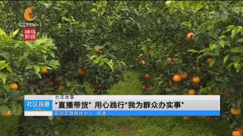 [成都社区报道]“直播带货” 用心践行“我为群众办实事”