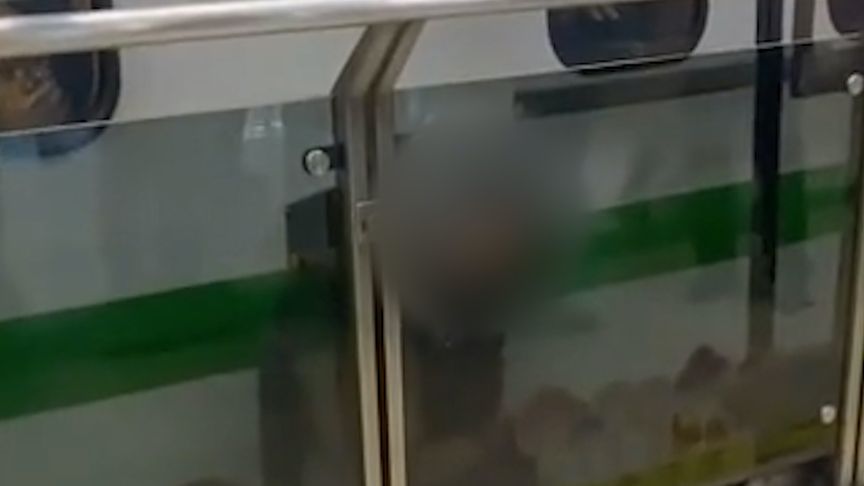 上海地铁2号线有人员翻越安全门进入线路,涉事男子已身亡