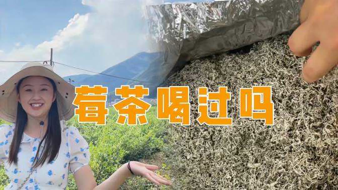 发“霉”的茶,你喝过吗?张家界的特产,很珍贵