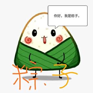 啥都玩的小粽子 