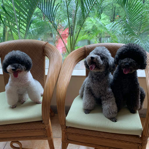 平静的小天台菜园 