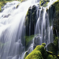 反感还是无所谓 