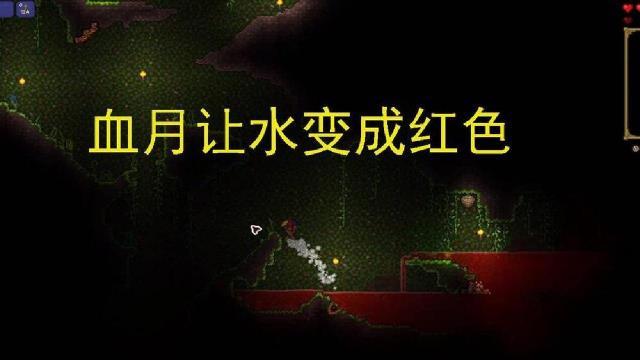 泰拉瑞亚04:小帕去丛林探险,恰好也碰上了血月