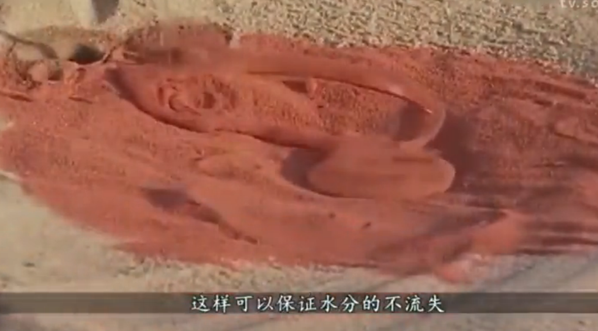 中国发明神器沙子, 让沙漠能种水稻, 外国专家惊呆了!