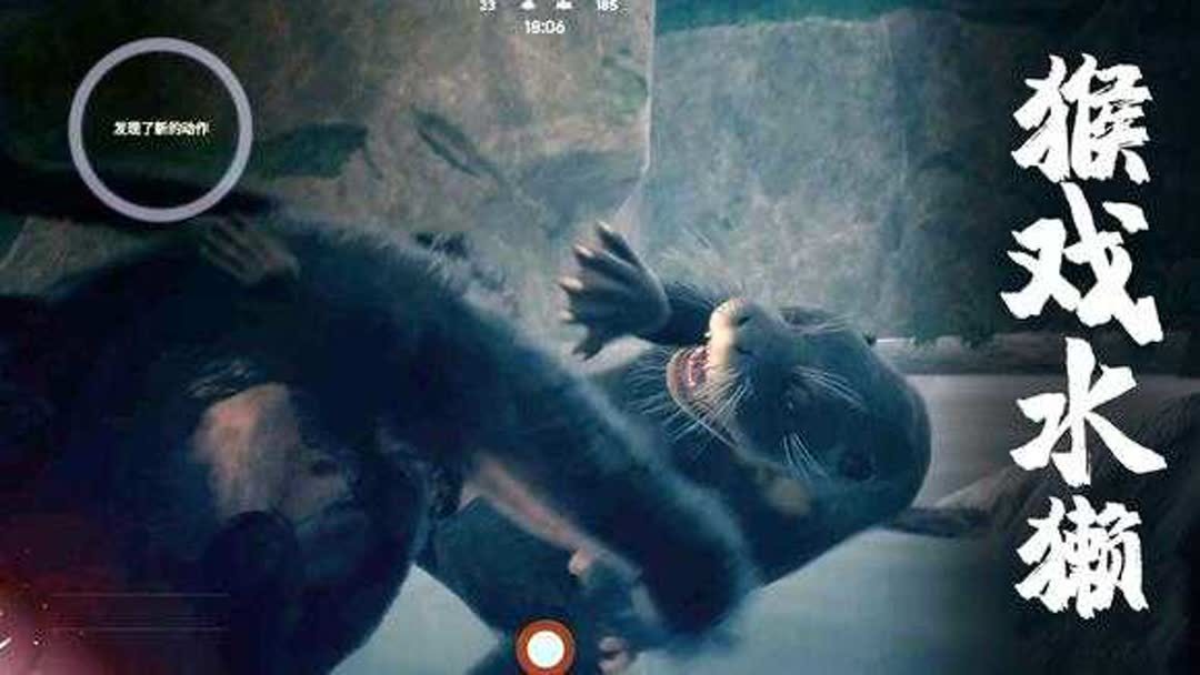 狒狒模拟器:这个水獭喜欢跟猴打架,这样下去不行,只好把它宰了