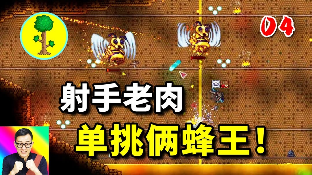 泰拉瑞亚灾厄模组04:两队友已卒!射手老肉勇斗双蜂王!