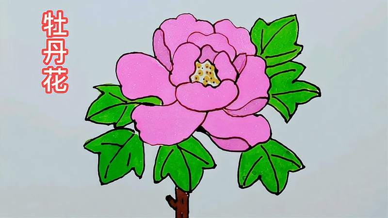 牡丹花简笔画视频教程,简单又好看