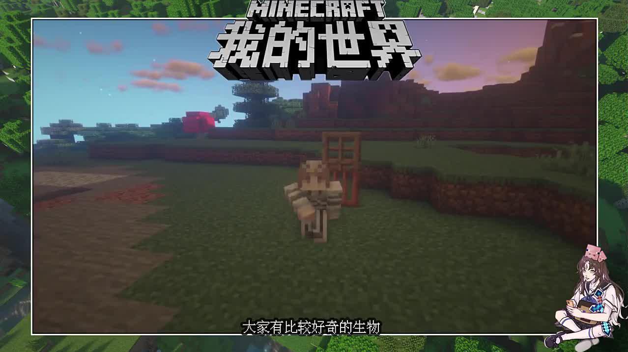 盘点几个我的世界关于门的冷知识我的世界