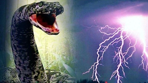 1995年安徽巨蟒渡劫灵异事件揭秘 神秘巨蟒腾飞空中