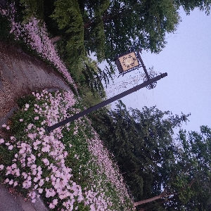 夏日的风秋日的雨雨 