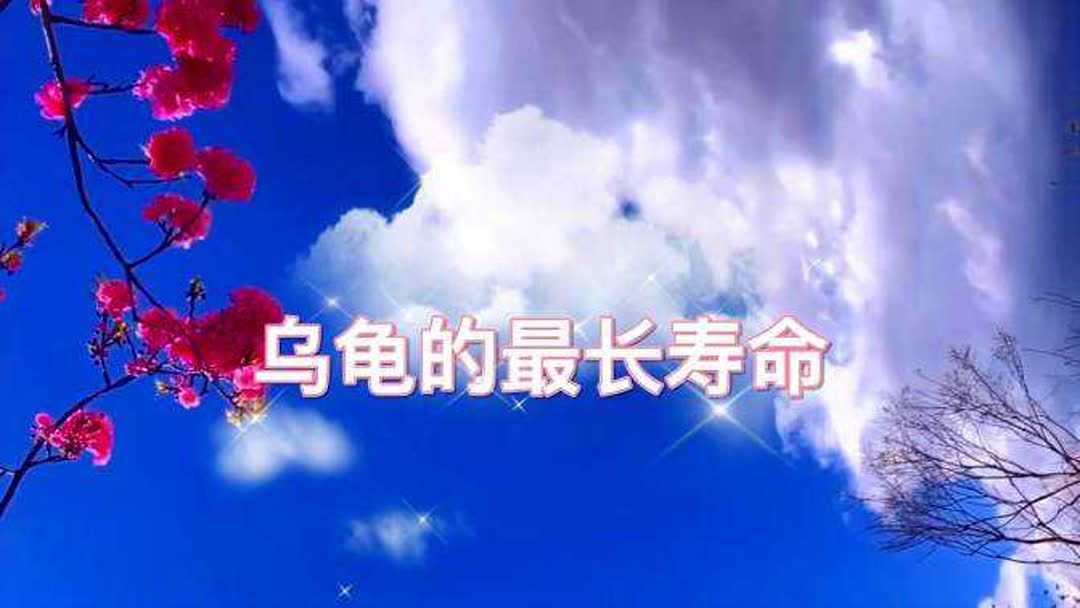 品种不同,乌龟的存活年龄是不一样的,乌龟最长寿命是多少年