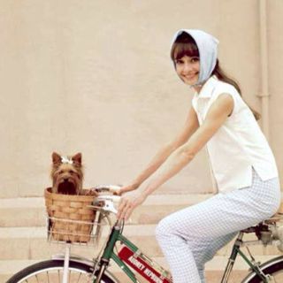 风筝1478530256963811 