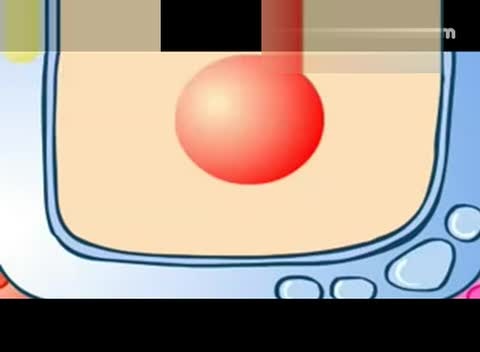 启蒙教学:认识球体、正方体、圆柱体和长方体