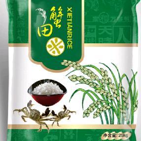 螃蟹哥爱稻田 