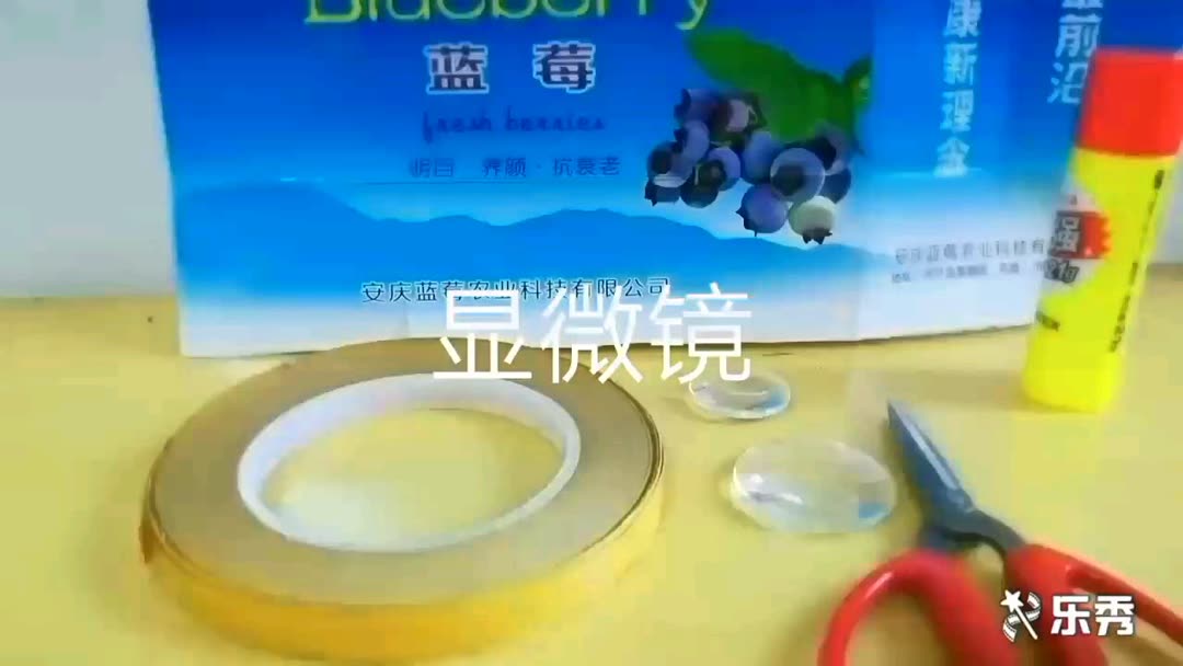 物理手工制作:显微镜