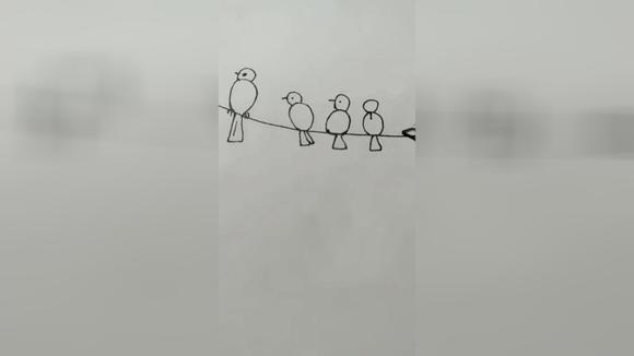 教宝贝们如何简笔画鸟,宝妈们赶快学起来吧!