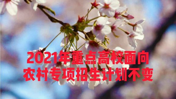 2021年重点高校面向农村专项招生计划不变