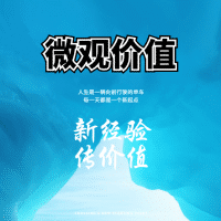 微观价值 