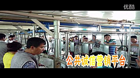 诚信一家人,兄弟姐妹亲!《诚信之家》宣传片