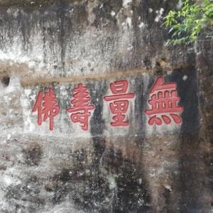 寂寞梧桐深院锁青秋 