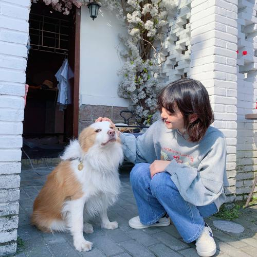 我是煤碳我却黑 