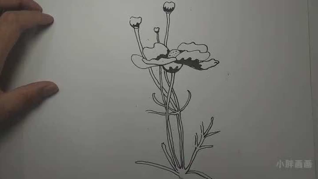 简单好学的线描绘画视频,教你如何绘制花朵!