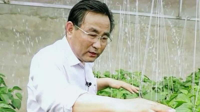 种植辣椒,如何能获得高产优质?这些管理您一定要了解一下