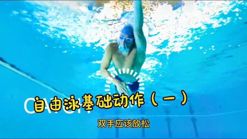 自由泳基础动作之身体位置、打腿及划臂,适合初学者学习!