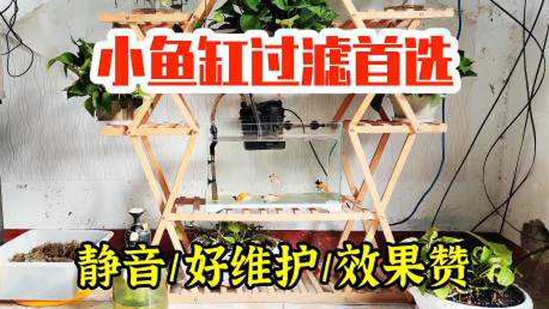 小鱼缸过滤懒人首选,静音、好维护、效果赞,我从初中用到中年