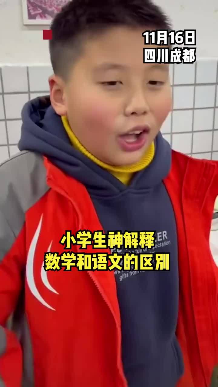 小学生神解释数学和语文的区别