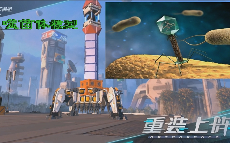 【重装上阵】噬菌体模型赏析