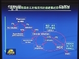 [视频]我国科学家发现乙肝癌变关键风险基因