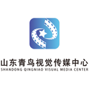 山东青鸟视觉传媒中心 