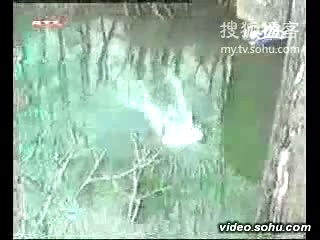 皮克斯pixar历年动画短片集之《大眼仔的新车》 (Mike'S New Car)(...