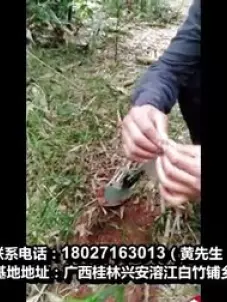 远程雷达探测器epx10000使用教程展示