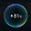 81%电 