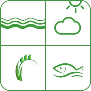 黑水虻硬核技术安伯 