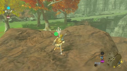 【塞尔达传说 荒野之息】娱乐解说第十一期