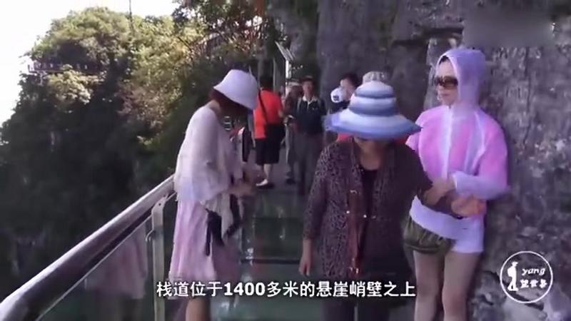 张家界的玻璃栈道和玻璃桥,走完全程的我敬你是条好汉!