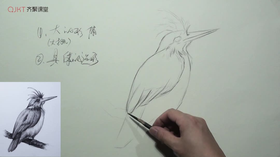 素描鸟的表现技法(对鸟的大形体和羽毛的描绘) (一)