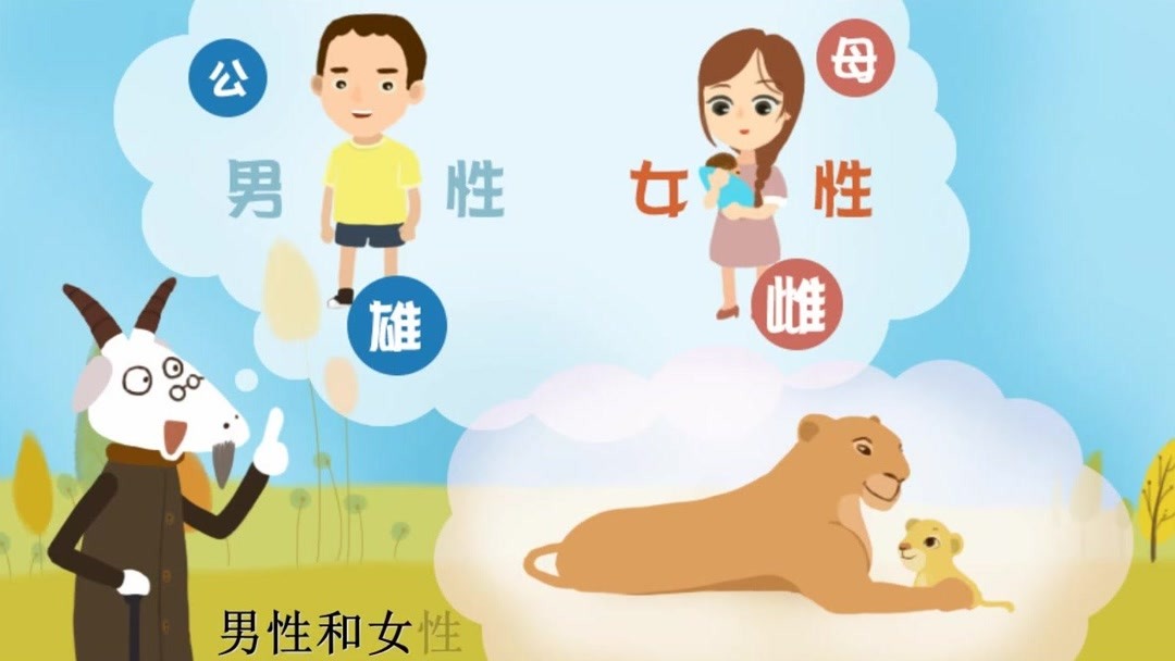 儿童性教育3-6岁启蒙课程-给孩子的第一堂性教育课